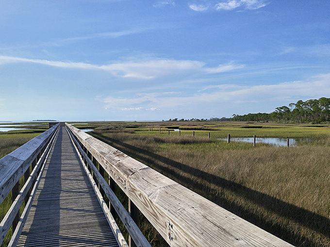 The wooden boardwalk stretches across coastal marshlands, offering a glimpse of the untouched natural beauty awaiting riders.
