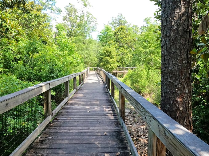 This wooden boardwalk doesn't just lead to a waterfall &ndash; it's a runway for your inner explorer, no machete required.