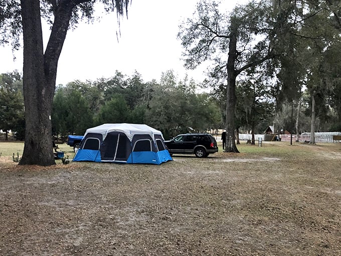 Simple pleasures await at the campground, where starry Florida nights and morning birdsong bookend your underwater adventures.