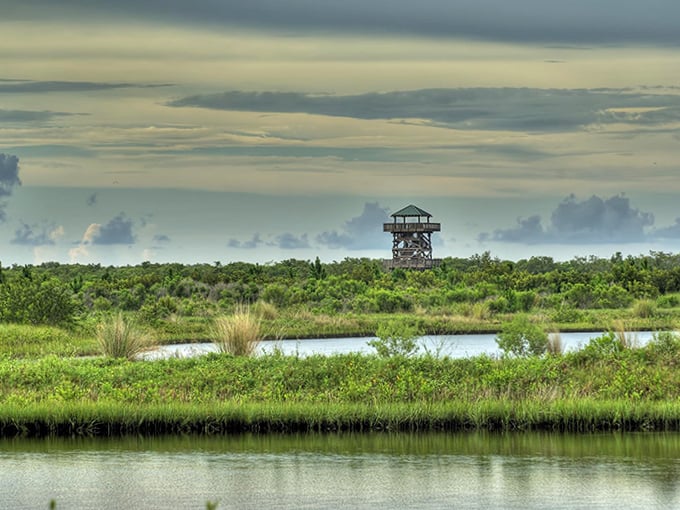 The observation tower stands sentinel over wetlands, promising panoramic views for those willing to climb.