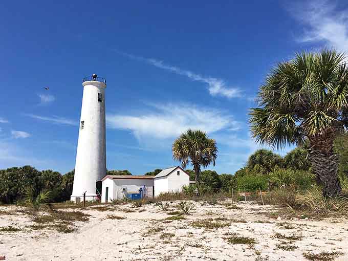 The Egmont Key Lighthouse has been guiding ships since 1858, standing watch over the Gulf like a patient sentinel that never calls in sick.