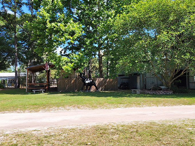 The peaceful grounds of Two Tails Ranch, where shade trees and open spaces create a tranquil haven for both animals and visitors alike.