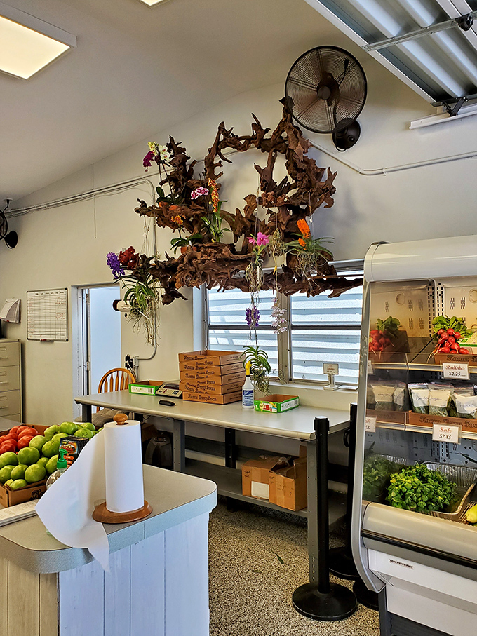 Inside, rustic charm meets bakery magic. That driftwood chandelier adorned with orchids? Pure Florida farm elegance.