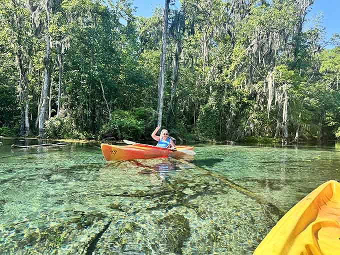 Paddling these crystal-clear waters beats any gym membership, offering a workout with scenery that actually makes you forget you're exercising while fish dart below like underwater cheerleaders.