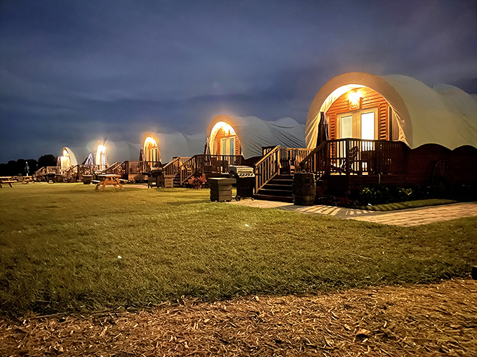 As night falls, the illuminated wagons transform into a magical frontier village that would make actual pioneers jealous of our modern glamping ingenuity.
