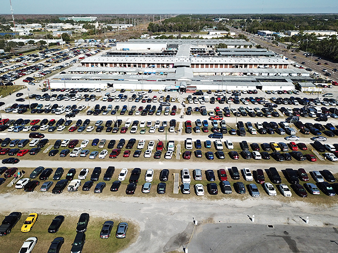 The Oldsmar Flea Market &ndash; 20 acres of treasure hunting where one person's castoffs become another's prized possessions.