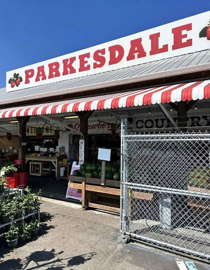 Welcome to strawberry country, where the berries are fresh and the shortcake dreams are about to come true.