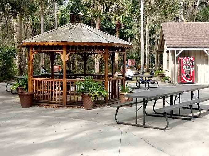 Picnic Gazebo: A rustic wooden gazebo offers respite from the Florida sun &ndash; the perfect spot to refuel between manatee sightings.