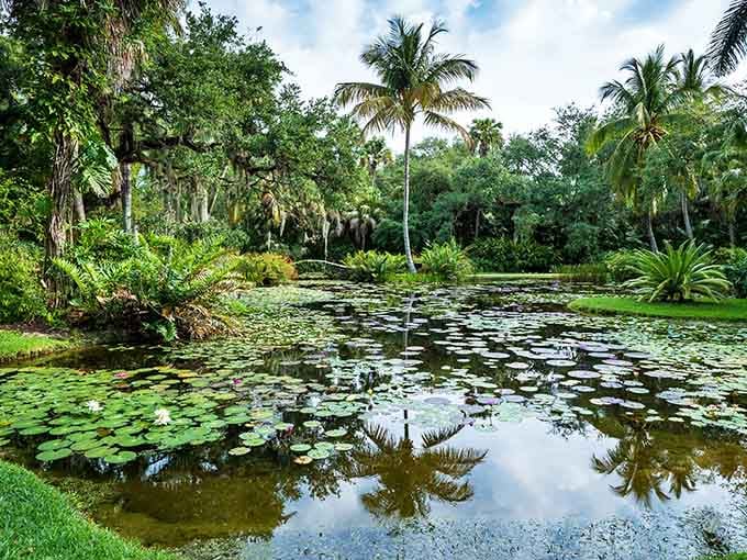 This pond is so perfectly serene it makes meditation apps look amateur, complete with lily pads that could double as landing pads for tiny helicopters.