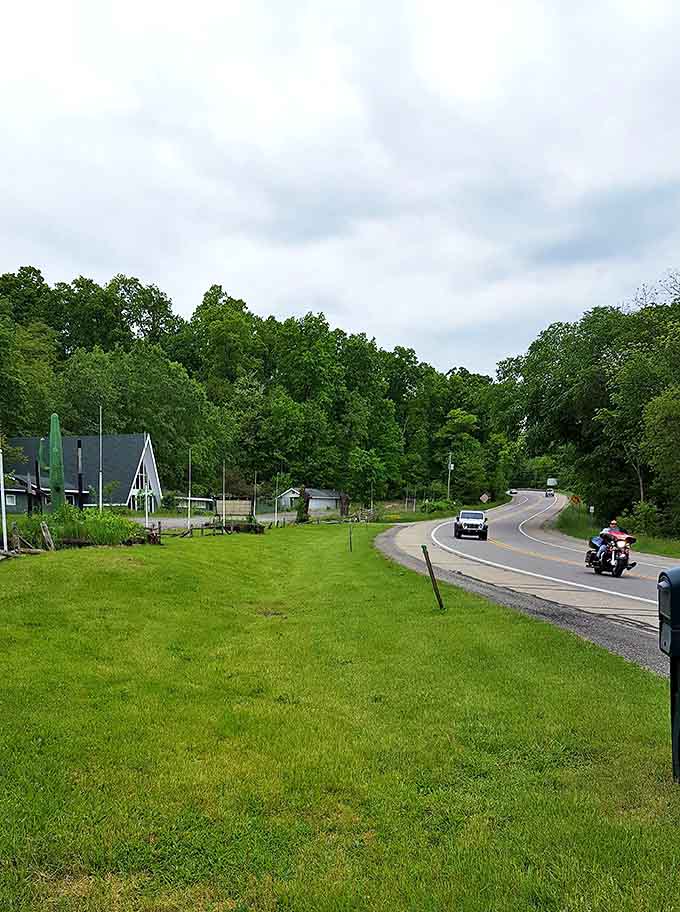 The quiet road near Hayes State Park belies the prehistoric wonders hiding just beyond the tree line.