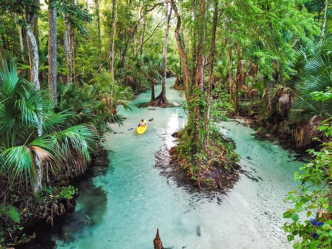 Mother Nature showing off again! The river creates a perfect mirror image of the surrounding tropical paradise.