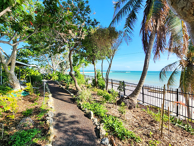 Coastal paradise awaits along this winding path, where ocean breezes carry the scent of salt and tropical blooms.
