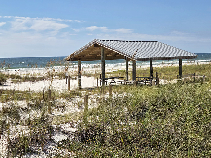 This rustic pavilion offers welcome shade for picnickers, a perfect spot to enjoy lunch with a soundtrack of gentle waves.