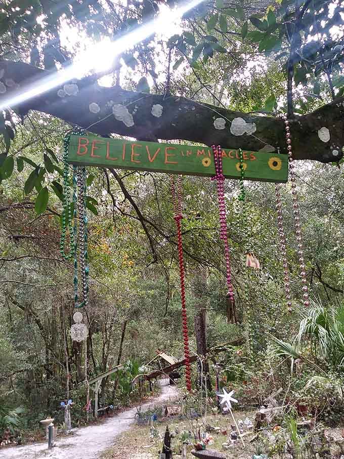 Beaded strands dangle from branches like nature's own jewelry collection, catching sunlight and creating a disco ball effect that Studio 54 would envy.
