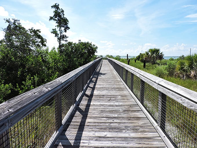 Wooden walkway to wonder: This boardwalk doesn't just lead somewhere&mdash;it leads to everywhere your imagination wants to go.