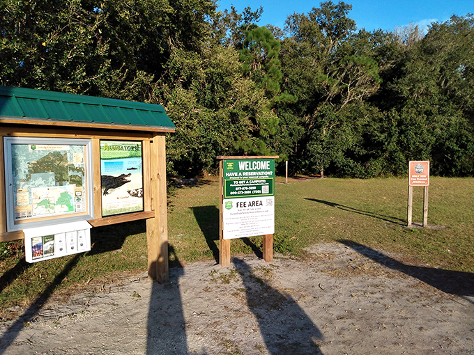 Welcome to Little Big Econ State Forest, where the adventure begins and your cell phone signal politely excuses itself.