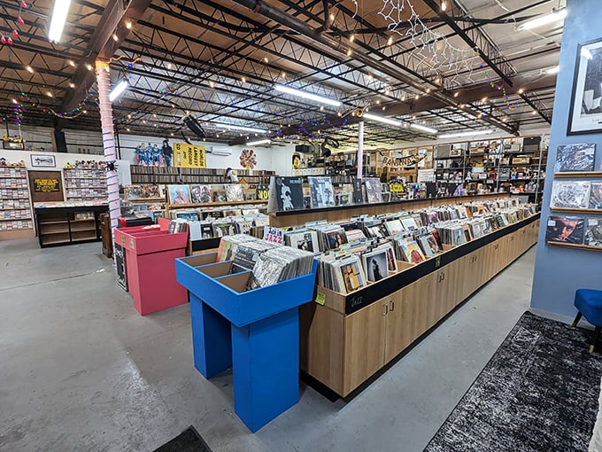 Row after glorious row of meticulously organized vinyl stretches as far as the eye can see, creating a labyrinth of musical discovery for eager crate-diggers.