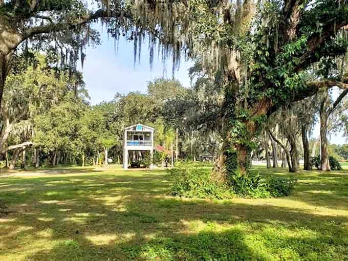 Nestled among ancient oaks draped with Spanish moss, this elevated escape offers a perfect blend of privacy and panoramic views.