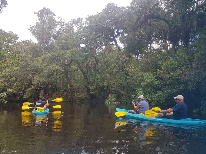 Paddle your worries away on the tea-colored waters where conversations flow as smoothly as the gentle current beneath your kayak.