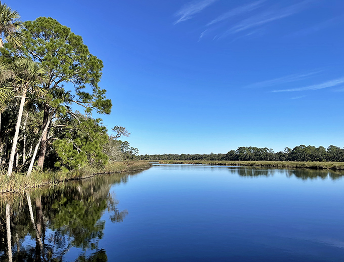 Mirror-like waters reflect Florida's untamed beauty, where every ripple tells a story older than Disney.