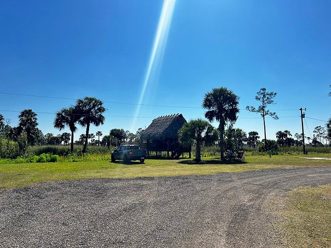 Florida sunshine bathes the campground in golden light, turning humble thatched huts into postcard-perfect retreats from modern chaos.