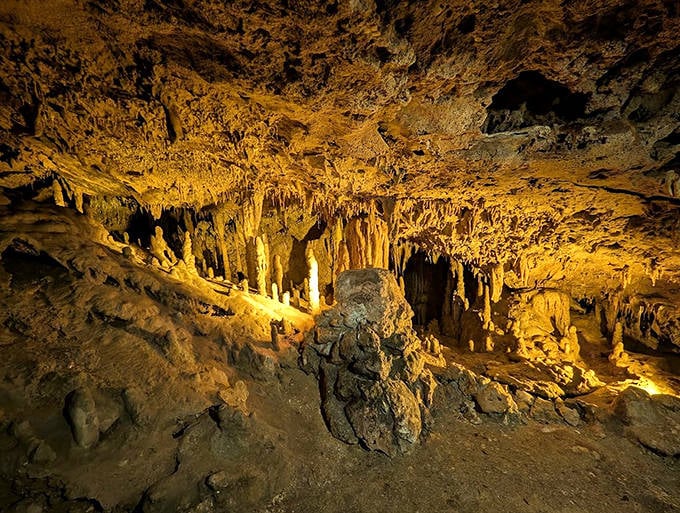 Inside Florida Caverns, otherworldly formations create a subterranean wonderland millions of years in the making.