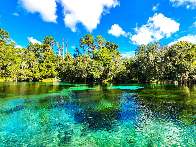 Rainbow Springs' emerald-blue waters seem to glow from within, showcasing Florida's natural magic beneath a perfect blue sky.