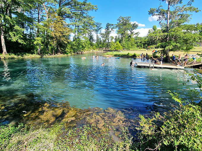 Crystal-clear waters at Florida Caverns State Park invite swimmers to cool off after exploring the underground limestone labyrinth.