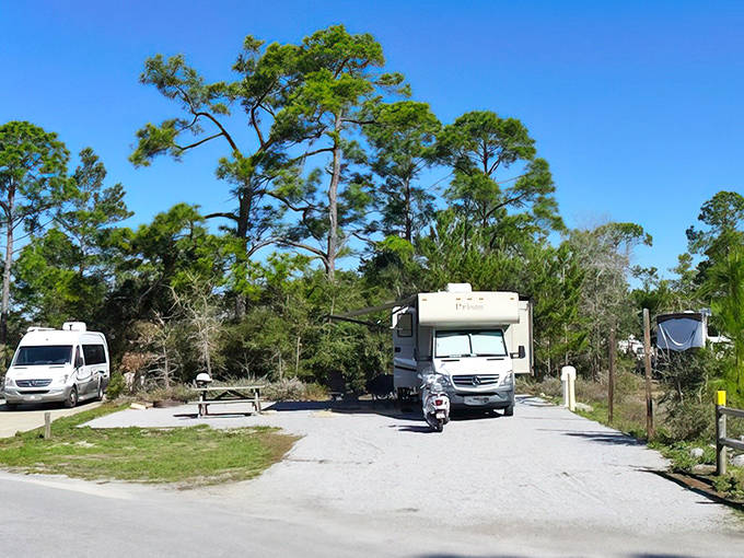 RV camping spots at Grayton Beach State Park, surrounded by natural vegetation that provides privacy while keeping the beach accessible.