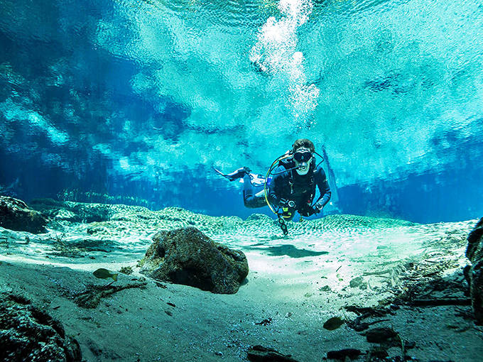 Crystal-clear waters reveal an underwater paradise where divers explore the mysterious depths of Florida's natural springs.