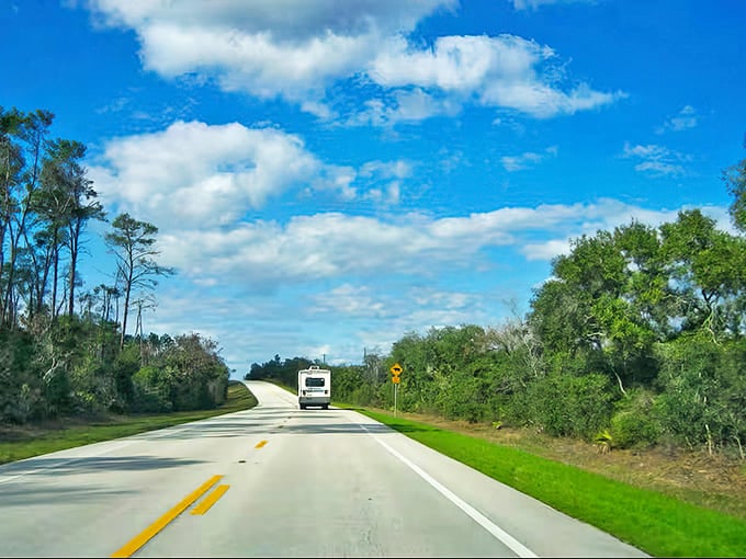 The open road stretches ahead through Ocala National Forest, a green tunnel of pines inviting adventure. Nature's welcome mat!