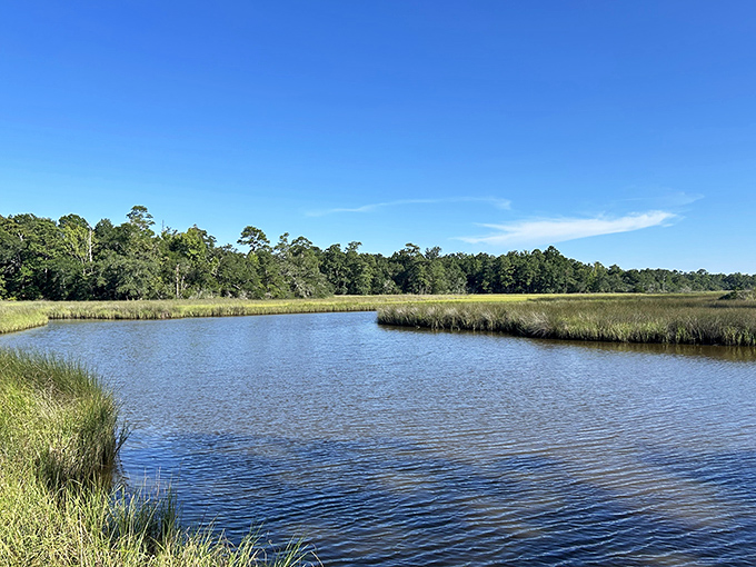 Marshlands stretch toward the horizon at Gulf Islands National Seashore, where water and sky merge in a peaceful blue panorama.