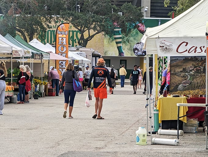 St. Petersburg's Saturday Morning Market transforms downtown into a vibrant community hub with white tents lining the streets near the waterfront.