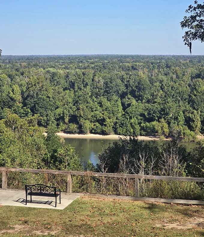Rolling green forests spread out like a giant blanket, with a sandy beach peeking through the trees below.