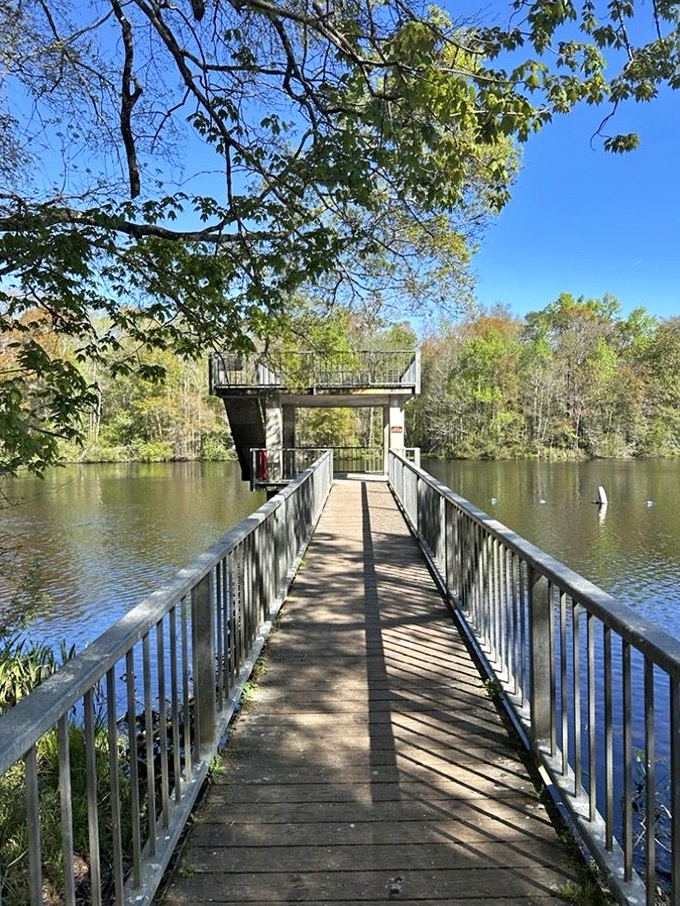 A wooden walkway extends over Wakulla Springs' pristine waters, inviting visitors to pause and appreciate nature's perfect reflection.