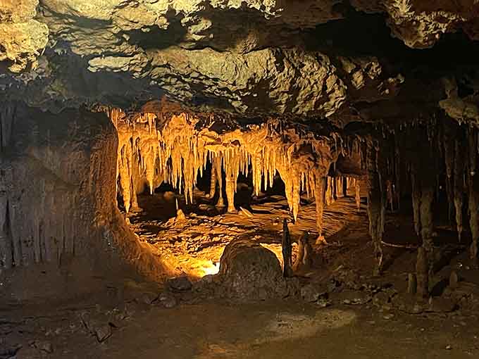 Stalactites and stalagmites create a stone forest that took thousands of years to grow, one tiny drip at a time.