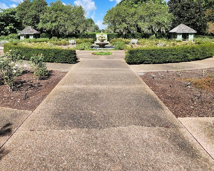 Geometric perfection meets natural beauty in this formal garden section of Leu Gardens, where pathways lead to a serene central fountain.