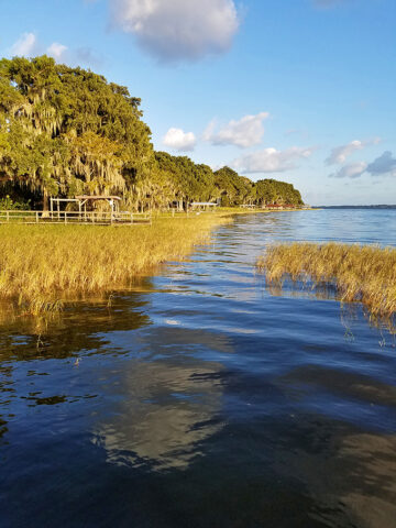 These 12 Beautiful Lakes In Florida Have An Enchanting Aura Around Them ...