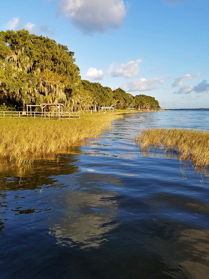 A hidden channel at Lake Harris invites exploration, where the gentle current guides adventurers through a waterway framed by Florida's lush natural beauty.