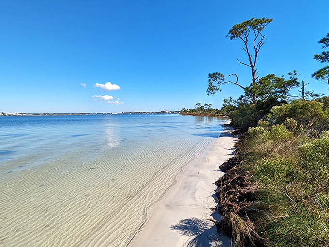 Crystal clear waters meet sugar-white sands along Perdido Key's shoreline, creating a natural palette that no filter could improve.