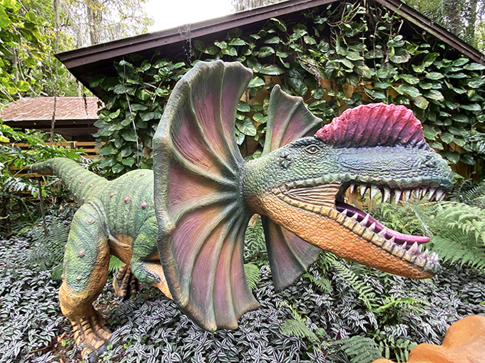 The Dilophosaurus shows off its colorful frills &ndash; nature's prehistoric fashion statement that's both beautiful and deadly.