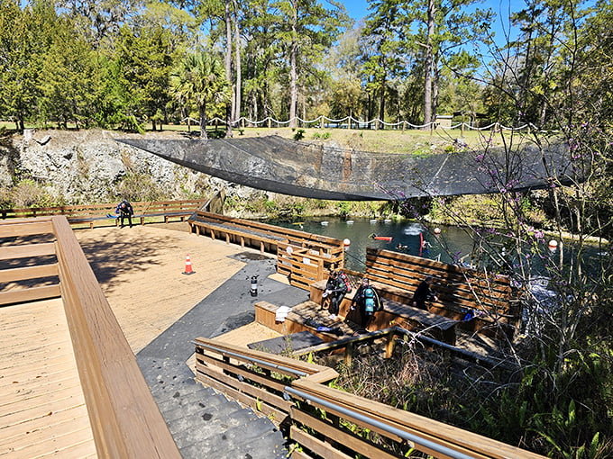 Wooden decks and seating areas surround the limestone cavern, offering perfect vantage points for watching bubbles rise from the blue abyss.