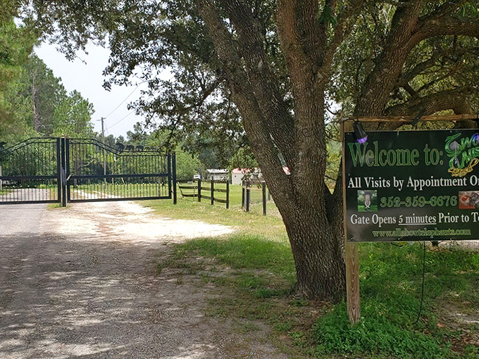 The unassuming entrance gate—proof that the most extraordinary experiences often hide behind the simplest facades. Appointments required, magic guaranteed!