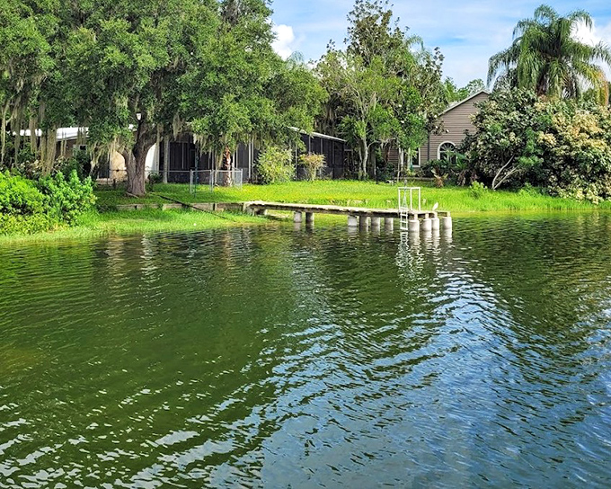 Waterfront properties dot the shoreline with private docks reaching into Lake Jackson, proving that some people really did figure out this whole Florida living thing correctly.