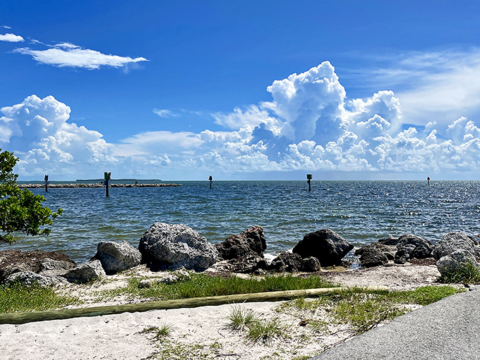 Harry Harris Beach offers a protected swimming area where the Atlantic's waves are tamed, perfect for families seeking gentle waters.