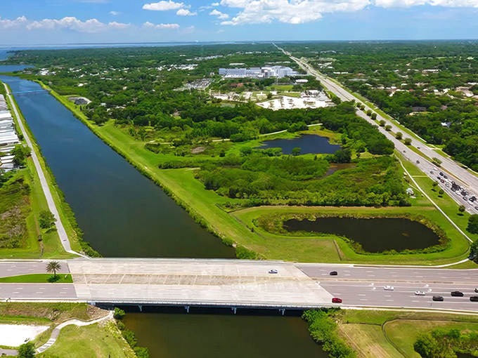 Lake Tarpon Canal offers peaceful paddling adventures just minutes from downtown &ndash; nature's therapy session awaits.