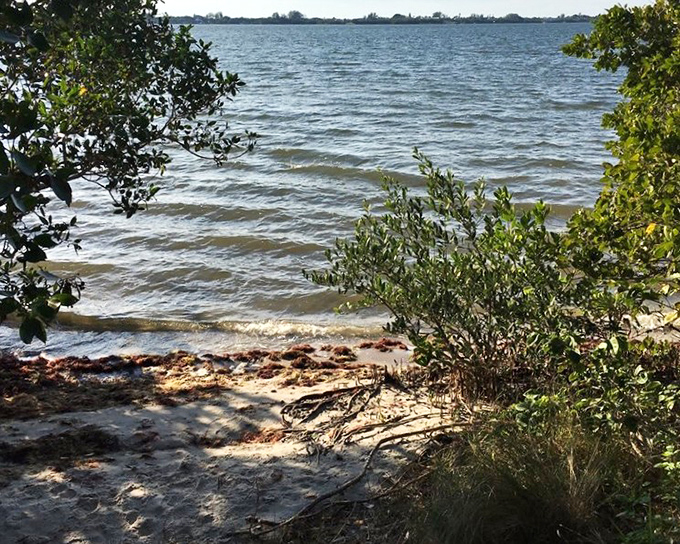 Lemon Bay's shoreline shimmers with possibilities &ndash; where the boundary between land and water blurs like memories of your first beach trip.