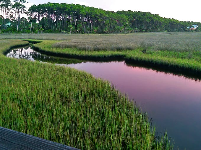 Emerald marshlands create a stunning backdrop for horseback adventures, where time seems to slow to nature's gentle pace.