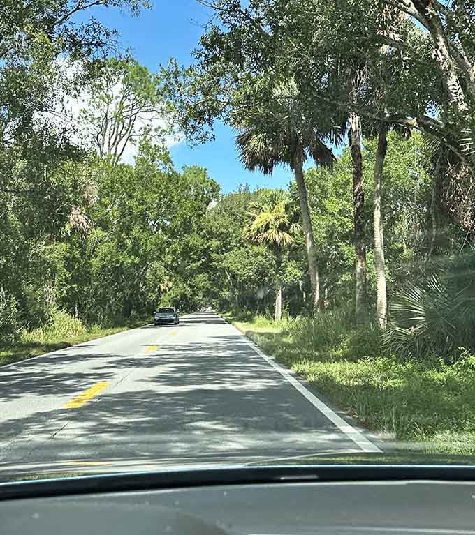 The open road meets Old Florida in this sun-dappled stretch where time slows and worries fade into the rearview mirror.