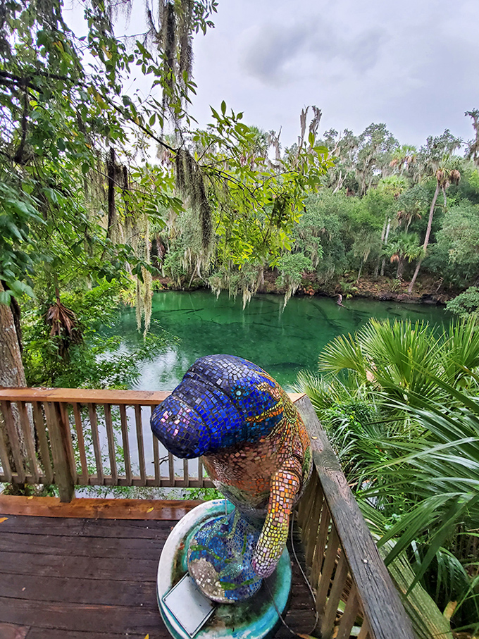 Mosaic Manatee Statue: This dazzling blue guardian watches over the spring, a kaleidoscope tribute to the real stars below.